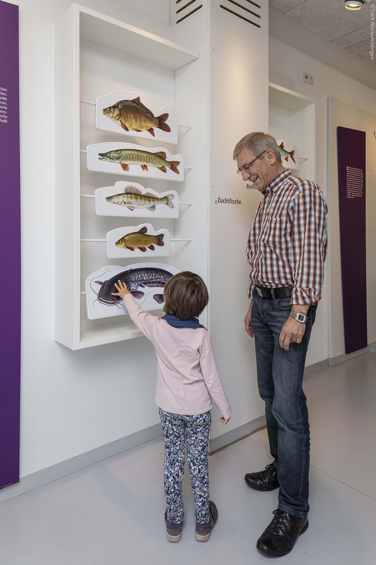 Wassertrüdingen - Fränkisches Seenland