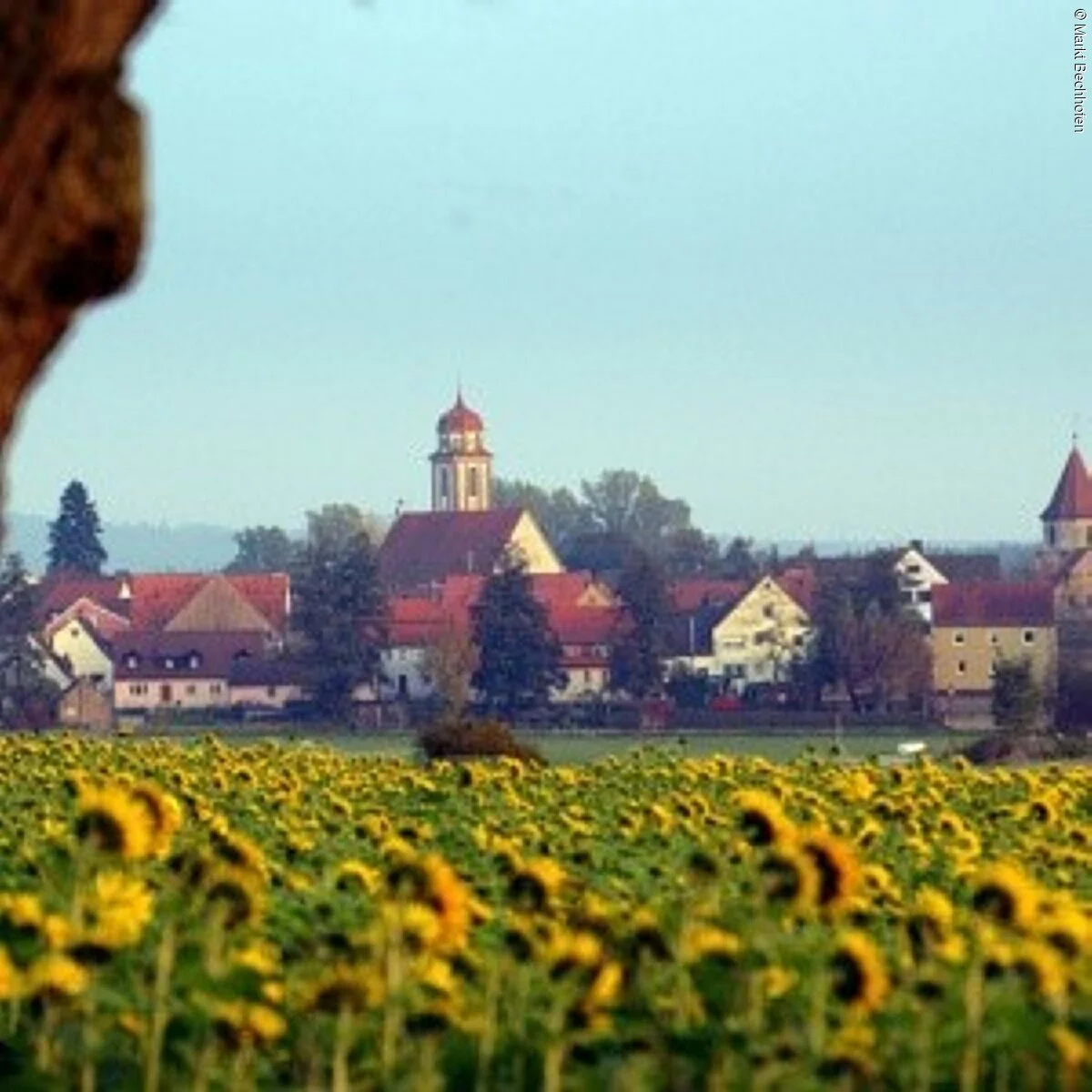 Radweg Bechhofen 1 - Fränkisches Seenland
